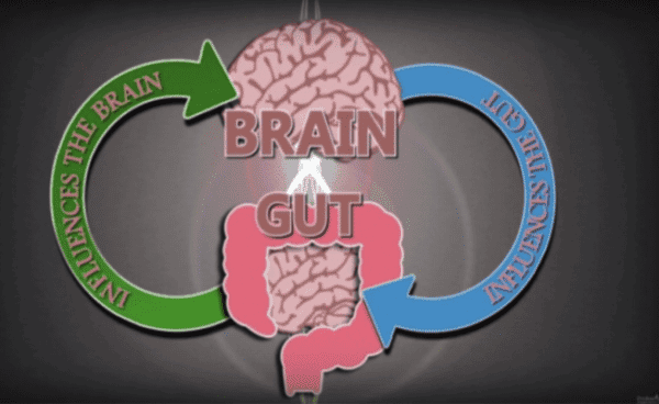 The Gut-Brain Connection - 5 Ways to Strengthen It for Better Mood ...