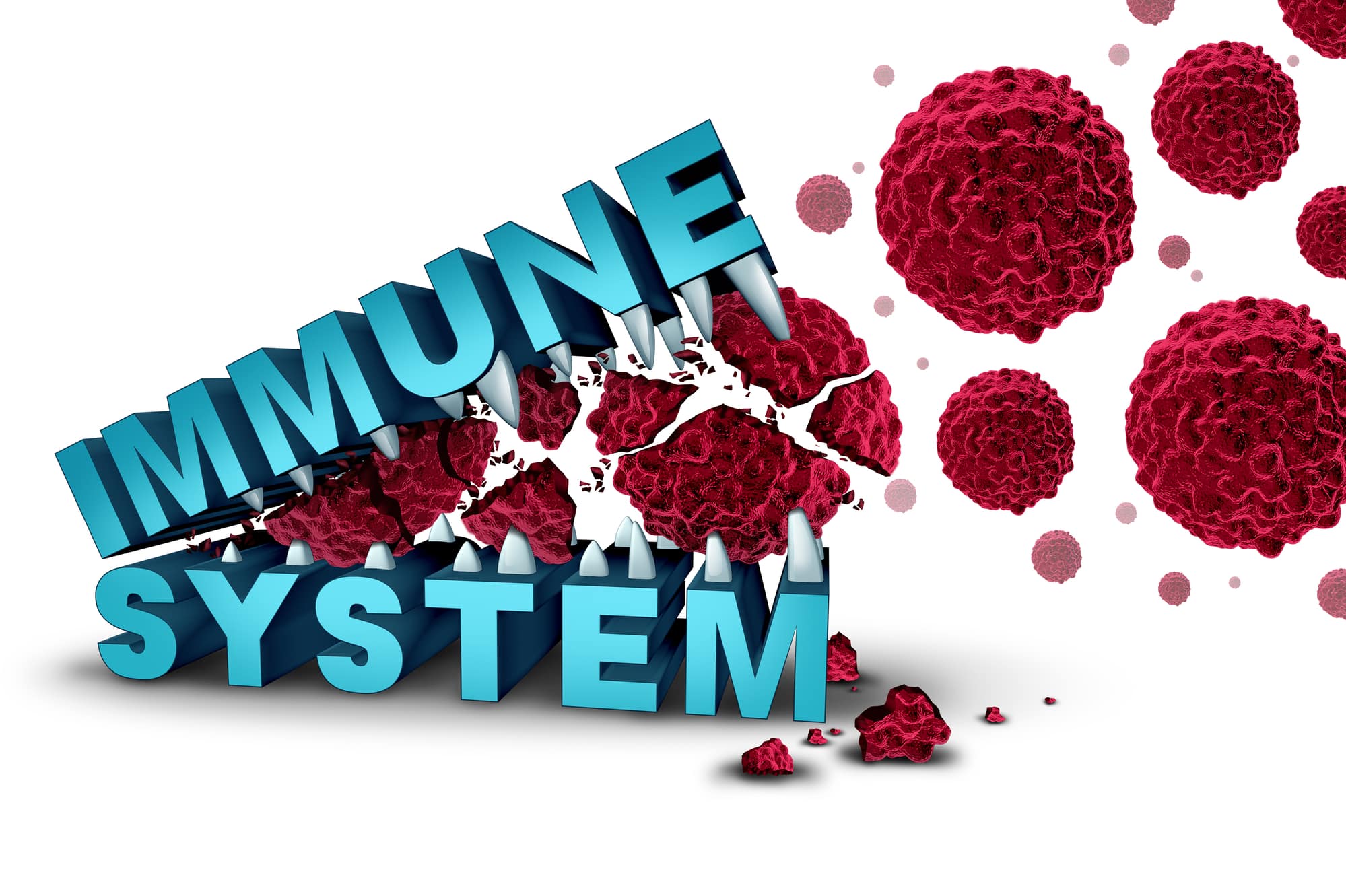 How To Boost Your Immune System - Happy Hormones For Life
